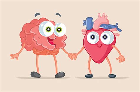 심장과 뇌 존재 친구 벡터 만화 감정 지능에 대한 스톡 벡터 아트 및 기타 이미지 감정 지능 Mental Wellbeing