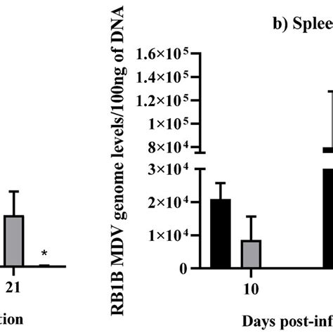 Rb1b Mdv Genome Levels In Feathers And Spleen Rb1b Mdv Genome Levels
