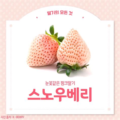 딸기 위에 새햐얀 눈이 내리면 이런 모습일까요~ 스노우베리 딸기는 Strawberrykking