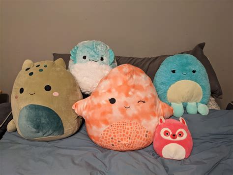 My Collection So Far 🥹 R Squishmallow