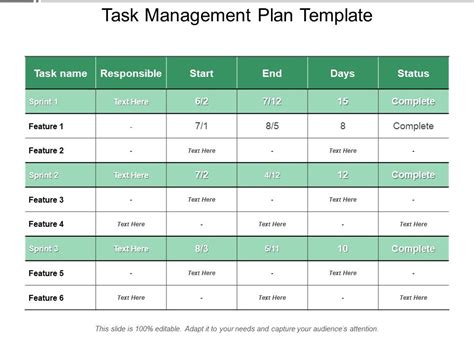 Task Management Plan Template Ppt PowerPoint Presentation Professional Example File