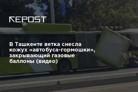 В Ташкенте ветка снесла кожух автобуса гормошки закрывающий газовые