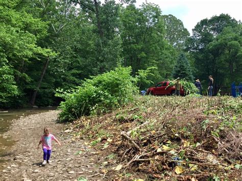 Plum Creek Project — Penn Hills Shade Tree Commission