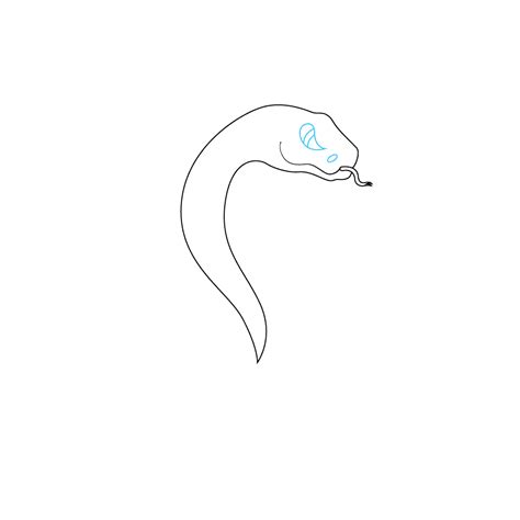 How To Draw A Snake Step By Step