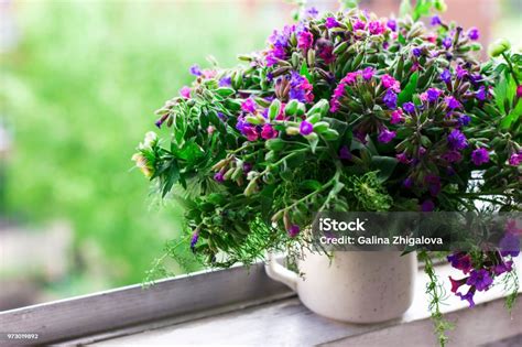 체리 Lungwort 창틀에 세라믹 컵에 야생 약초 야생 숲 풀밭 꽃다발 건강한 생활방식에 대한 스톡 사진 및 기타 이미지