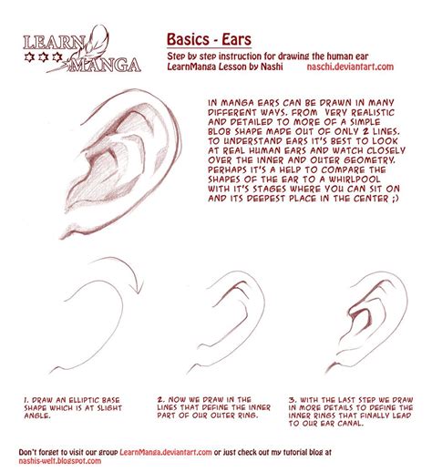 Learn Manga Drawing The Ears Manga Tutorial Drawing Tutorial Manga Drawing Tutorials