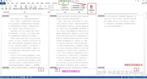 Word文档页码如何设置奇数在右，偶数在左？ 知乎
