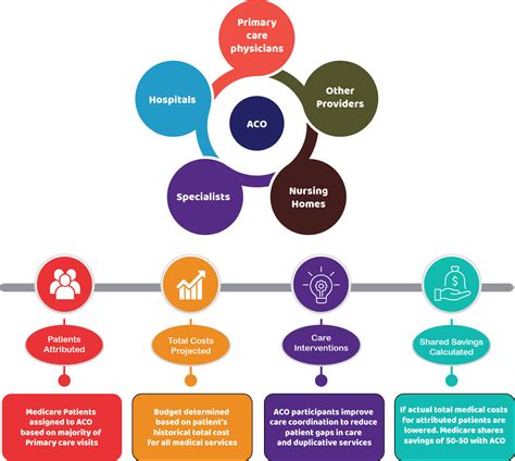 Accountable Care Organization Synthesis HealthSoft
