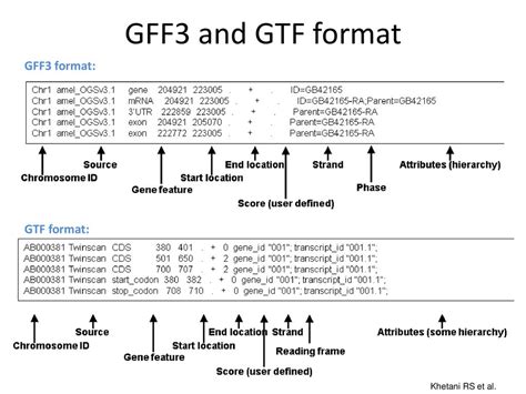 Introduction To Next Generation Sequencing Ngs Data Analysis Ppt