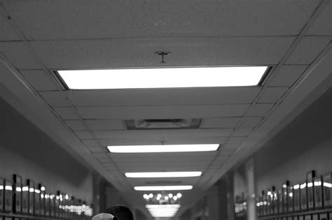 무료 이미지 구조 천장 단색화 조명 대중 교통 지하철 역 대칭 Ds106photoblitz 일광 4751x3167 352626 무료 이미지