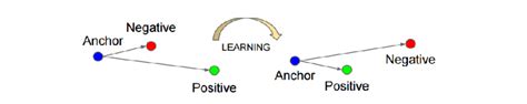 Training Processes Of Triplet Loss Download Scientific Diagram