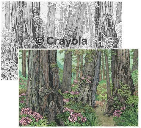 Color Escapes Adult Coloring Kit National Parks Crayola