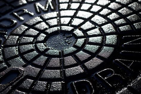 Bay Foundation Calls On States To Better Control Stormwater Runoff