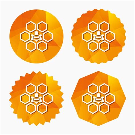 Honeycomb And Daisy — Stock Vector © Jara3000 10770536