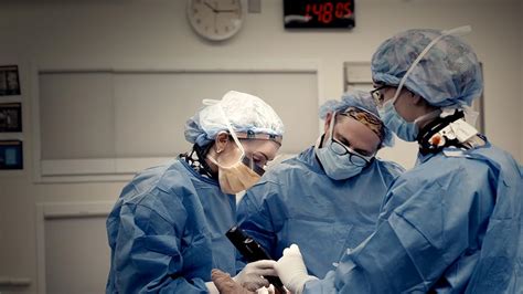Watch On The Shoulders Of Giants The History Of Nyu Langone