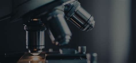 Sara Morcillo On Linkedin 3d Digital Microscopy Applied To
