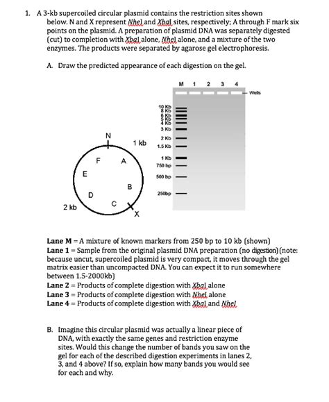 Solved 1 A 3 Kb Supercoiled Circular Plasmid Contains The