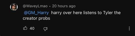 why do so many people hate tyler r tylerthecreator