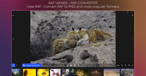 RAF Viewer RAF To