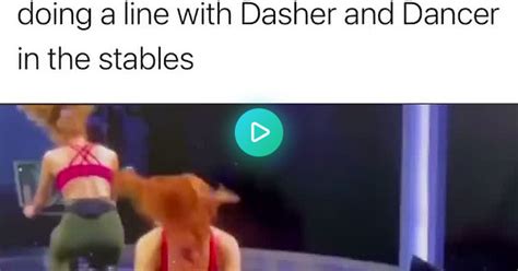 Rudolphs Living His Best Life Album On Imgur