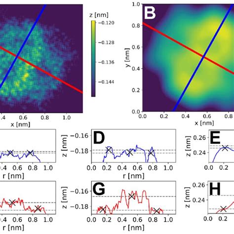 Analysis Of Structural Distortion Due To Adsorption For A Single Ntcdi