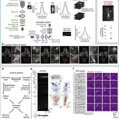 Pdf An Optofluidic Platform For Interrogating Chemosensory Behavior