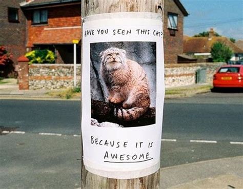 Funny Lost And Found Signs Barnorama