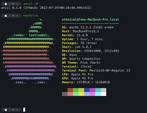 `anvil` Tokio Runtime Worker Panicked At Overflow When Subtracting