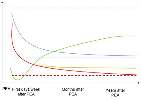 Schematic Representation Of The Evolution Of The MPAP RV Geometry And