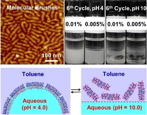 Amphiphilic Heterografted Molecular Bottlebrushes With Tertiary Amine