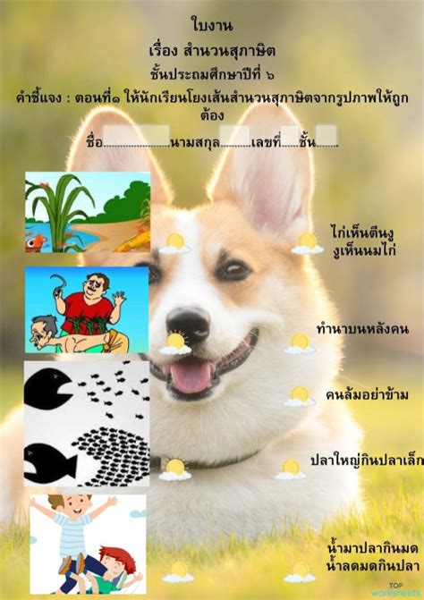 ใบงานที่๑ สำนวนสุภาษิต ใบงานเชิงโต้ตอบ Topworksheets