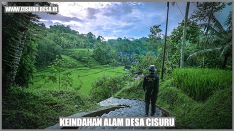 Cinta Tanah Air Ajakan Berpartisipasi Dalam Program Peduli Lingkungan