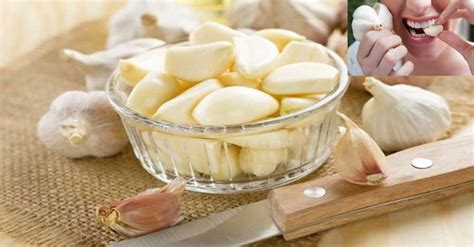 Salud Y Vida Natural Propiedades Curativas Del Ajo