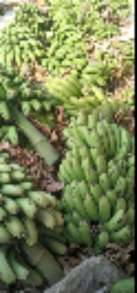 Chifuniro Kandaya On Linkedin Bananas Toyatasecurity Sdg2