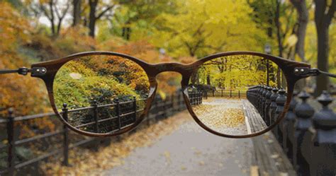 Glasses Autumn  Find And Share On Giphy
