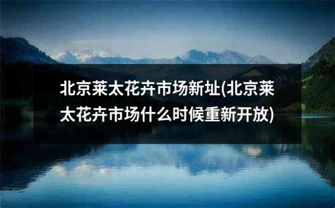 北京进口花卉种子公司 北京进口花卉种子有限公司 养花经验