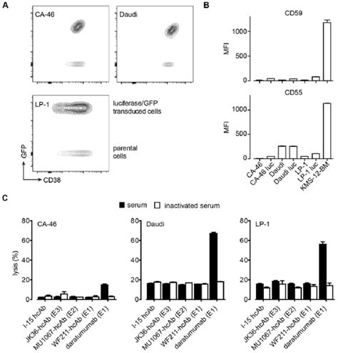 Cell Surface Expression Of Cd38 Cd59 Cd55 And Cdc Induction By Download Scientific Diagram