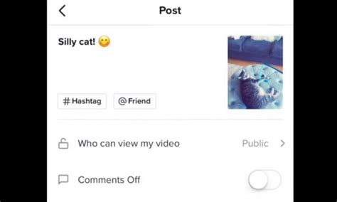 How To Make Tiktok Videos For Beginners Brandsynario