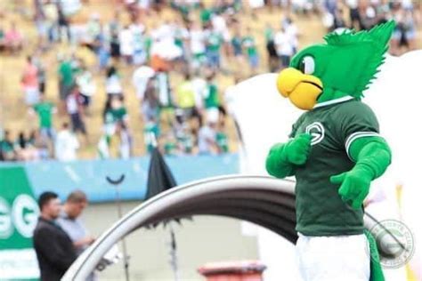 Qual é o mascote do Goiás