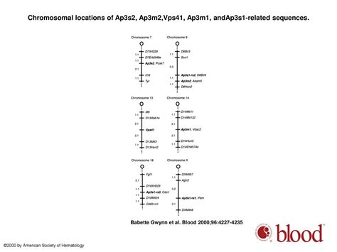 Defects In The Cappuccino Cno Gene On Mouse Chromosome 5 And Human 4p