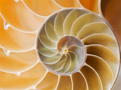 Orx Reference Taxonomy For Operational And Non Financial Risk