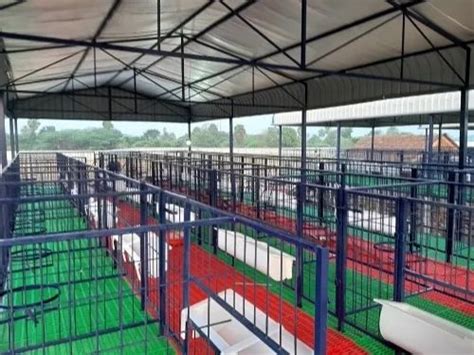 Goats Farming Metal Shed Contractors And Fabricators Roofing Padappai