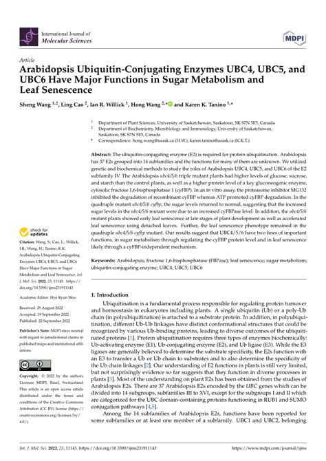 Pdf Arabidopsis Ubiquitin Conjugating Enzymes Ubc4 Ubc5 And Ubc6