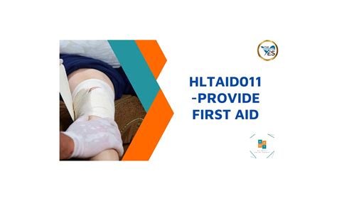 Hltaid011 Provide First Aid Theory And Theory Assessment 2023 Th