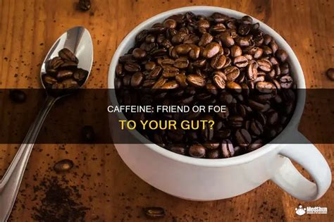 Caffeine Friend Or Foe To Your Gut Medshun