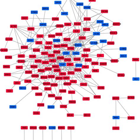 Sample Decalcification During Histological Protocol Monitored By X Ray