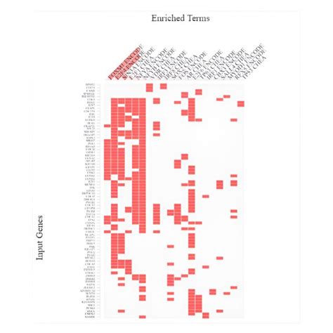 Transcription Factor Enrichment Analysis For Up Regulated Genes Note