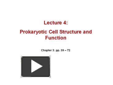 Prokaryotic Cell Structure And Function Presentation Free To View