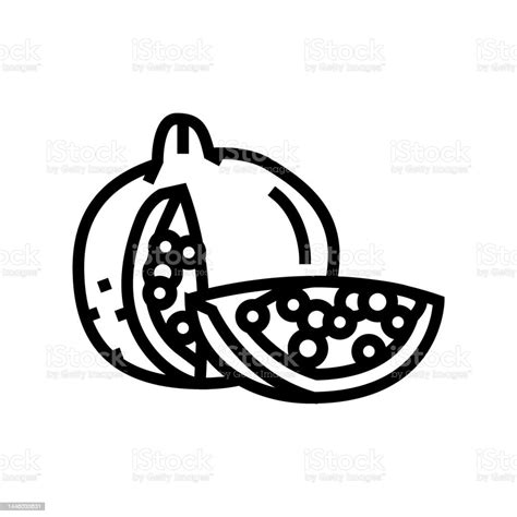Pomegranate Whole Slice Red Cut Line Icon Vector Illustration Stock Illustration Download