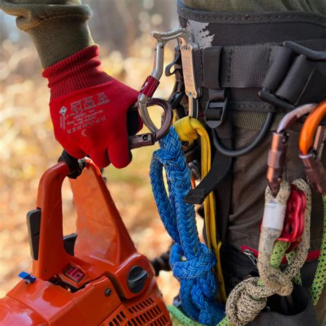 Rock Exotica Transporter Xl Tool Carrier C5xl Arbormaster